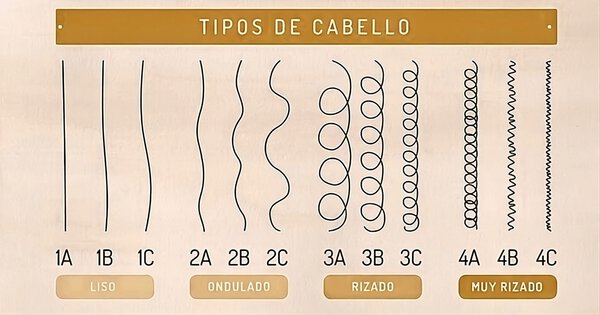 Tipo de rizo según la tabla de textura: ¿cuál es el tuyo?